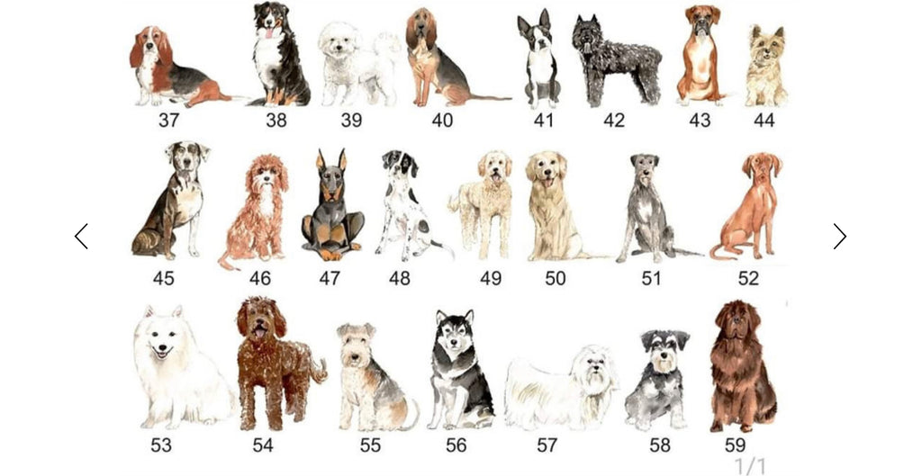 Dog breeds acrylic house sign – Lazy Dave Designs